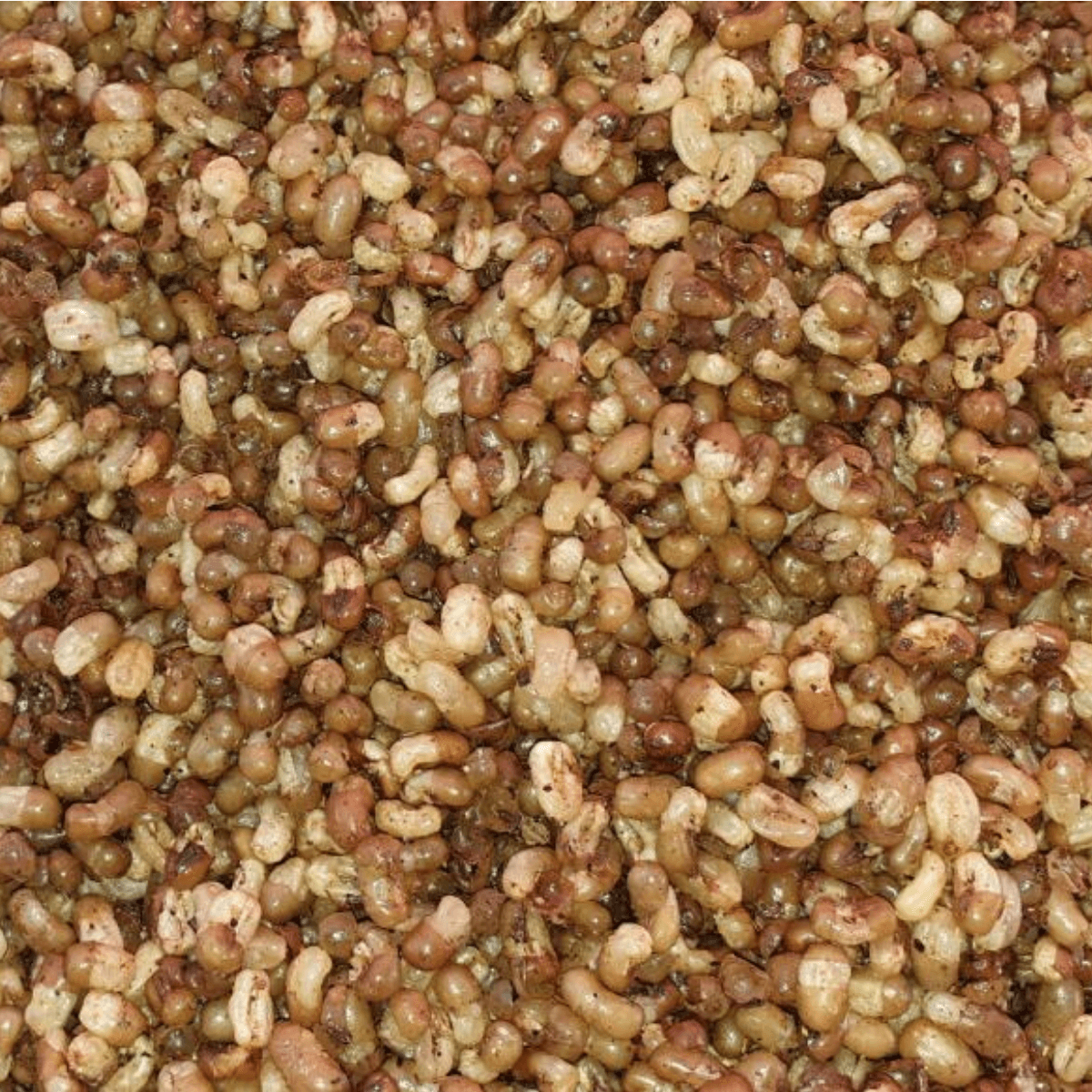 Moth Dal — Foodwalas